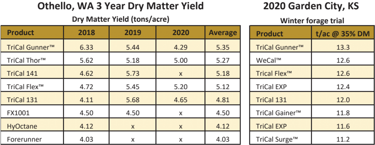 Gunner™ Triticale – TriCal Superior Forage